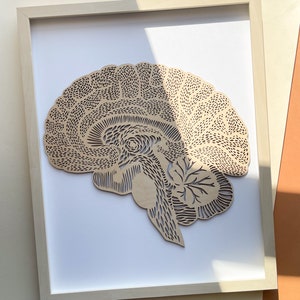 Anatomical Brain Lasercut Wooden Artwork - Etsy