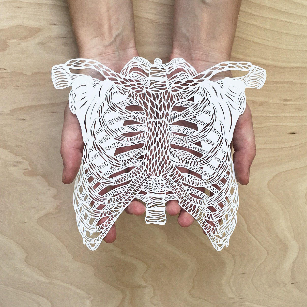 Anatomical Rib Cage Laser-cut Papercutting Artwork - Etsy