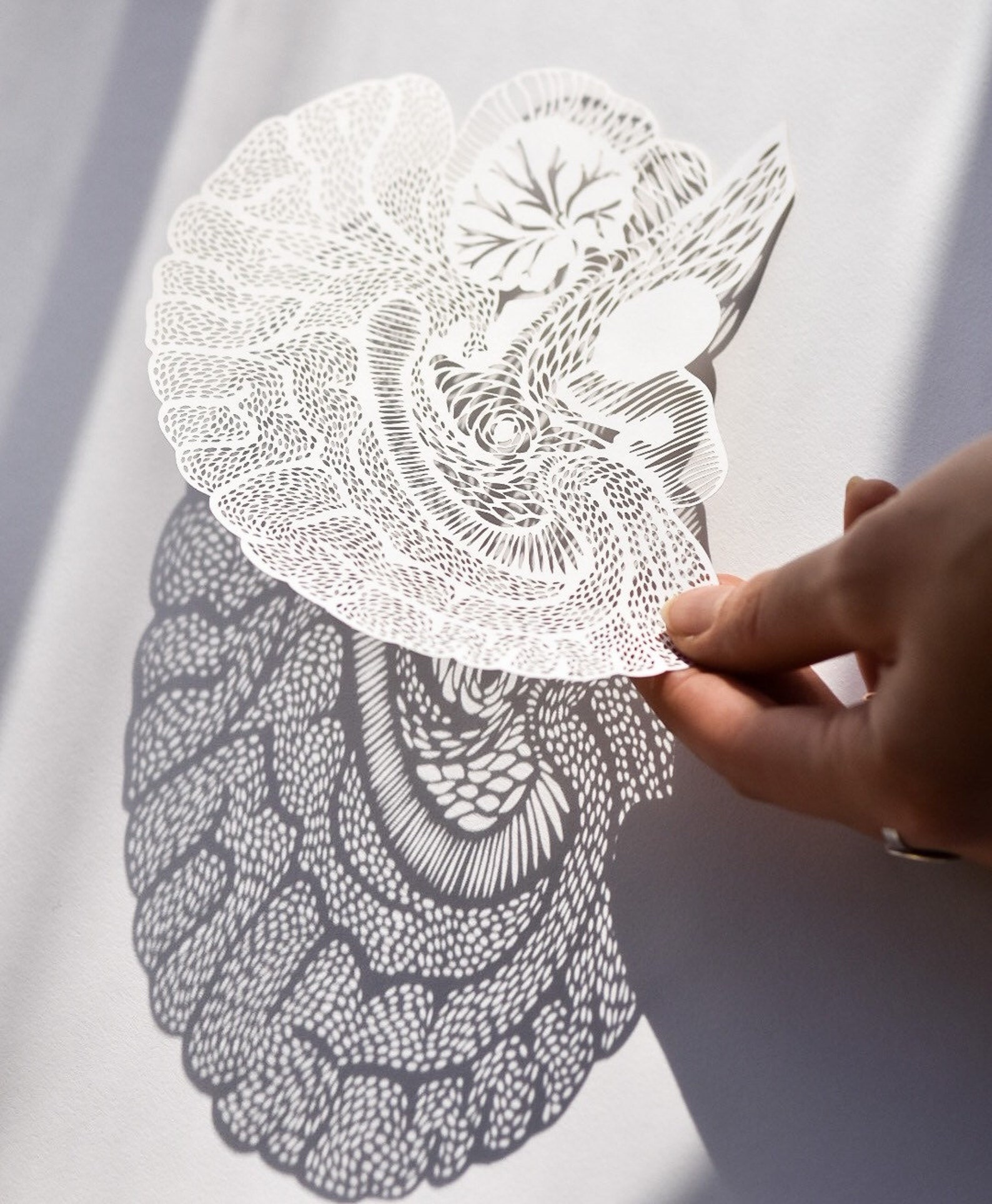 Anatomical Brain Laser-cut Papercutting Artwork - Etsy