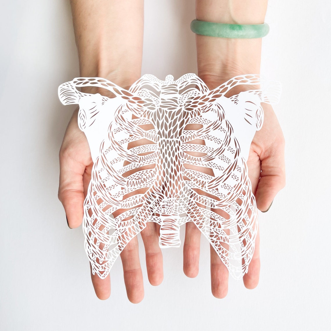 Anatomical Rib Cage Laser-cut Papercutting Artwork - Etsy