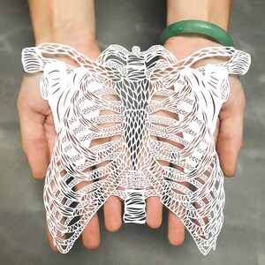 Framed Anatomy Human Ribcage Thorax Papercutting Artwork, Doctor ...