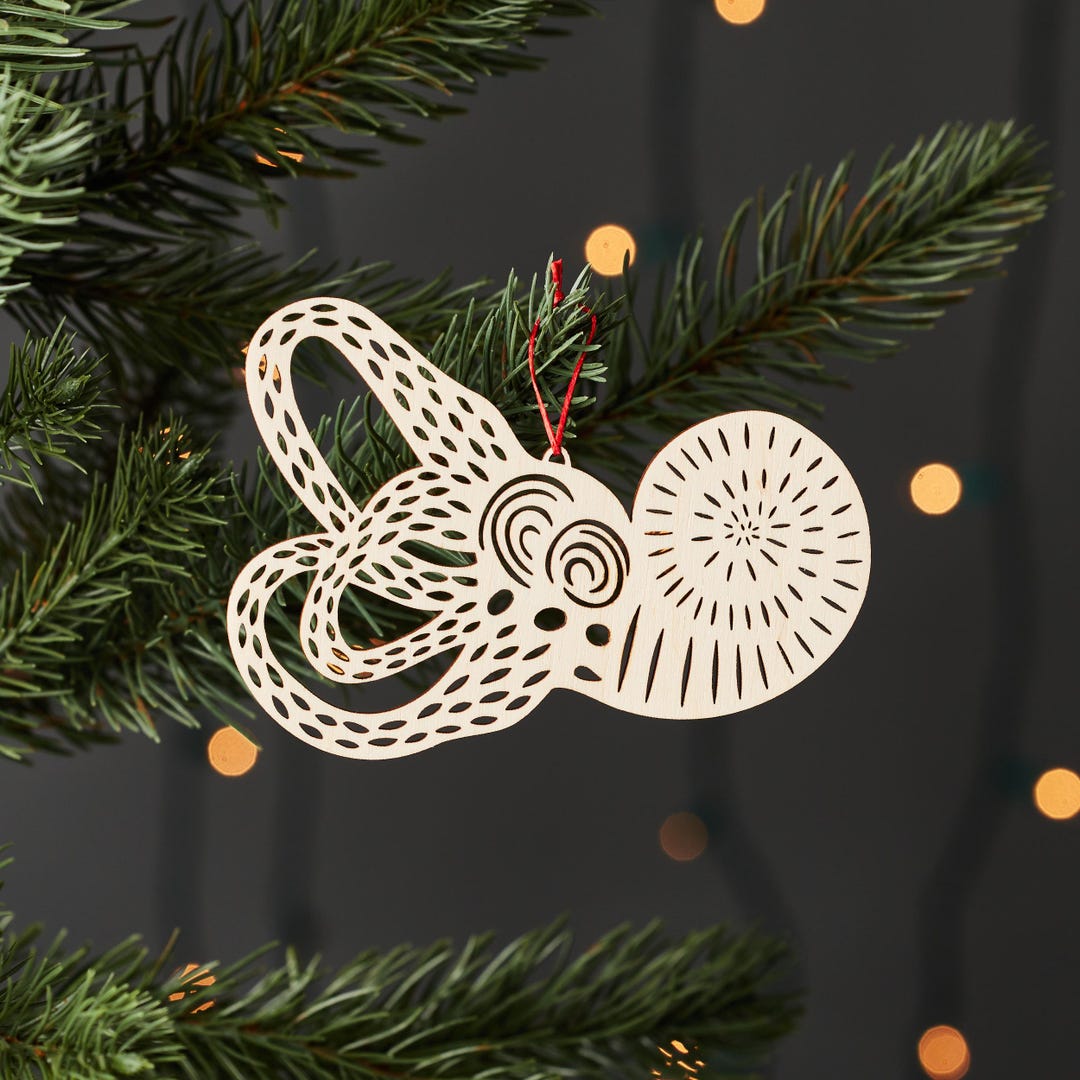 Inner Ear Cochlea Anatomy Ornament, Gift for Doctor, Ear Doctor ...