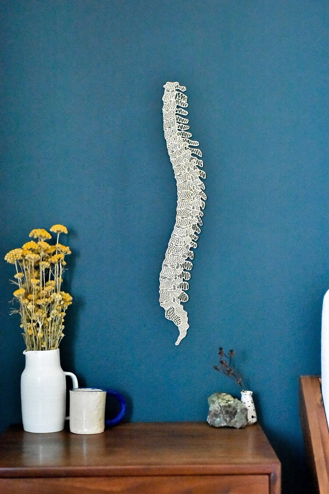 Anatomical Spine Lasercut Wooden Artwork - Etsy