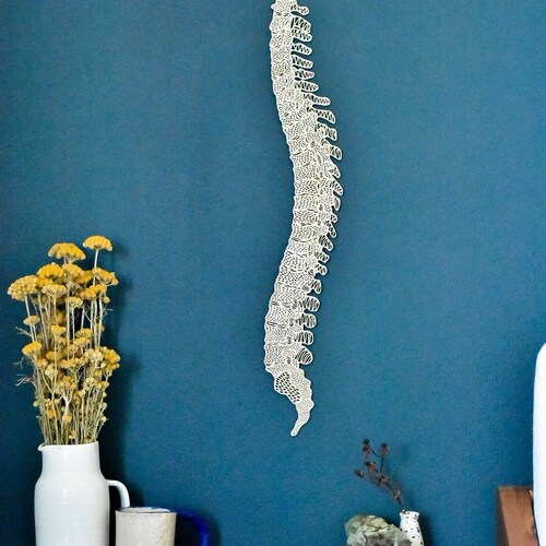 Anatomical Spine Lasercut Wooden Artwork - Etsy