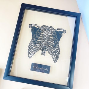 Anatomical Rib Cage Laser-cut Papercutting Artwork - Etsy