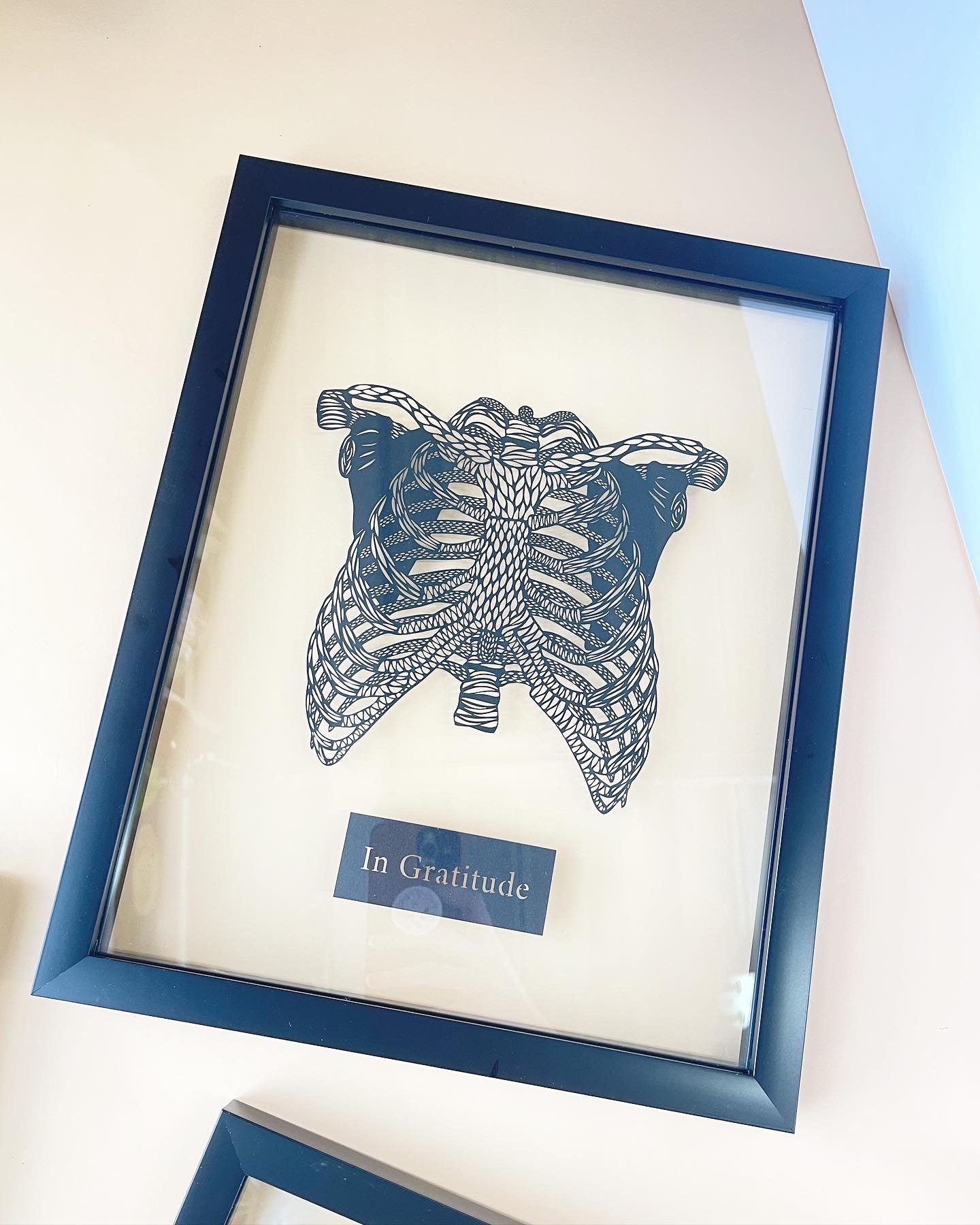 Anatomical Rib Cage Laser-cut Papercutting Artwork - Etsy