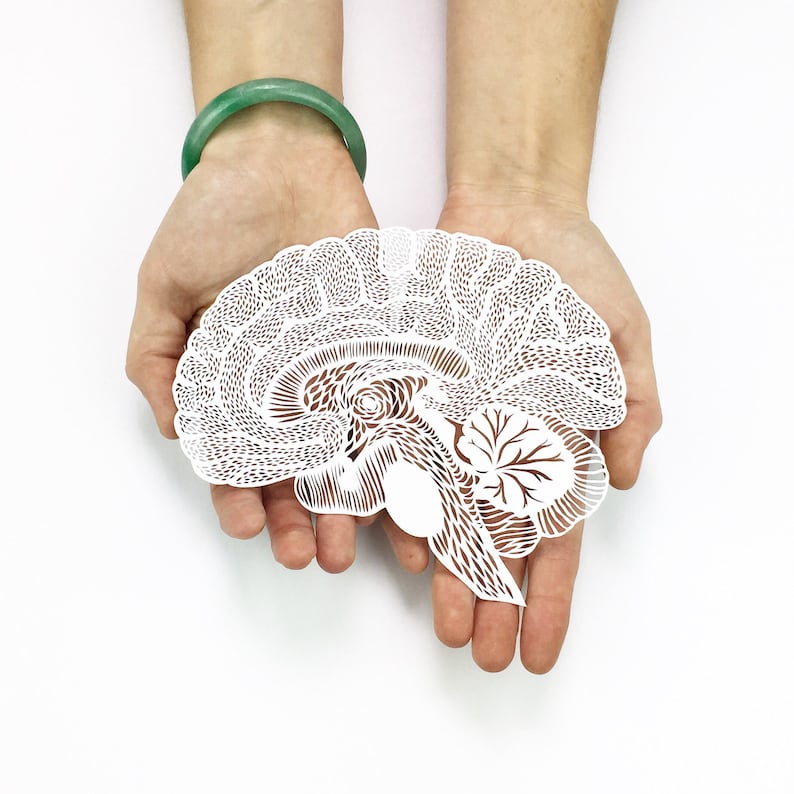 Anatomical Brain Laser-Cut Papercutting Artwork | Etsy