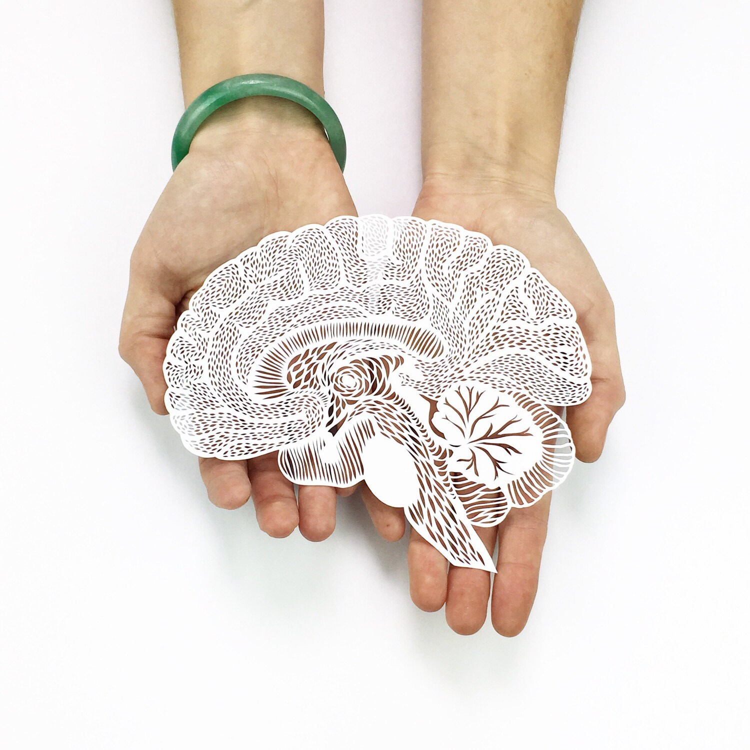 Anatomical Brain Laser-cut Papercutting Artwork - Etsy UK