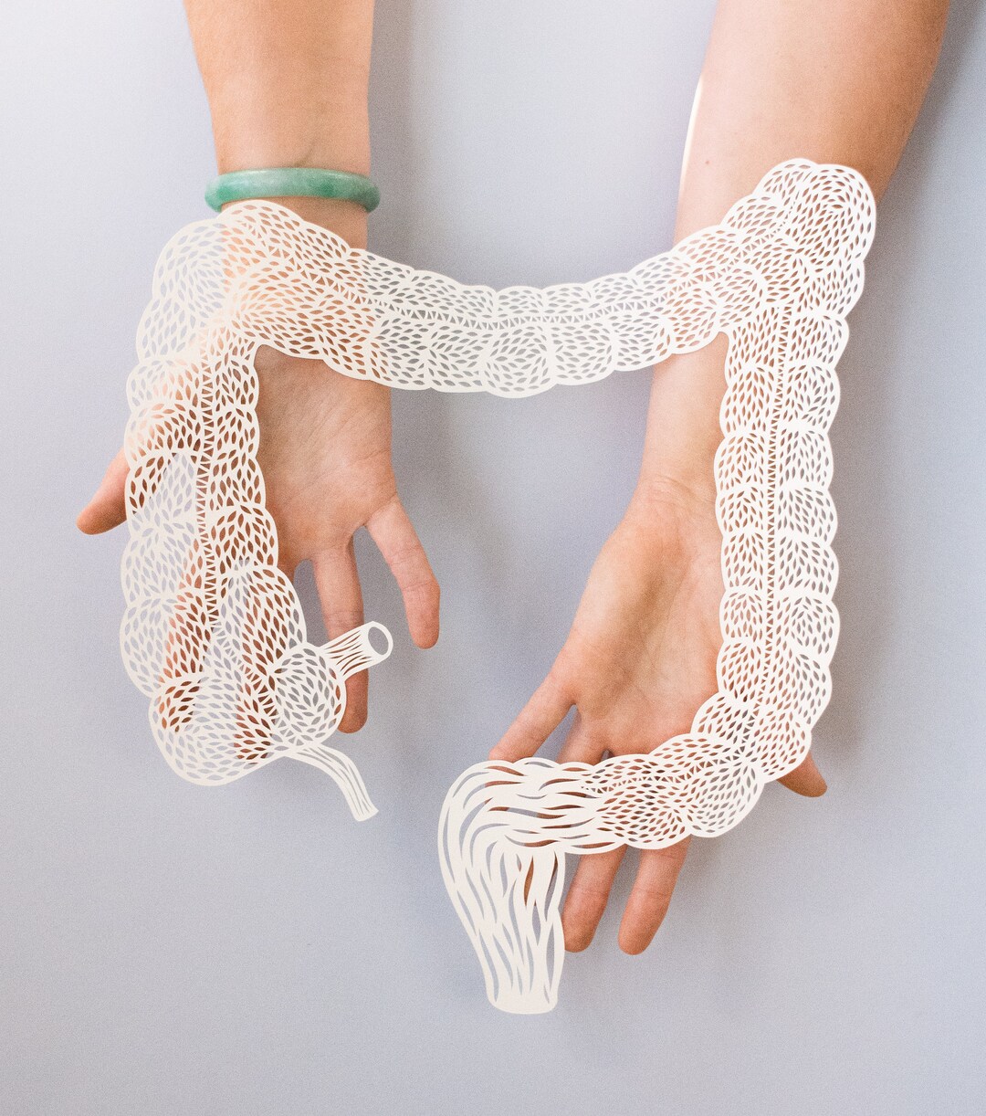Anatomical Large Intestine Colon Papercutting Artwork Doctor Medical ...