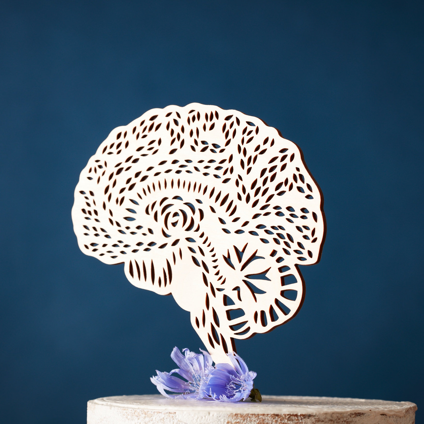 Brain Anatomy Cake Topper - Doctor Grad Cake, Medical Gift, Therapist ...