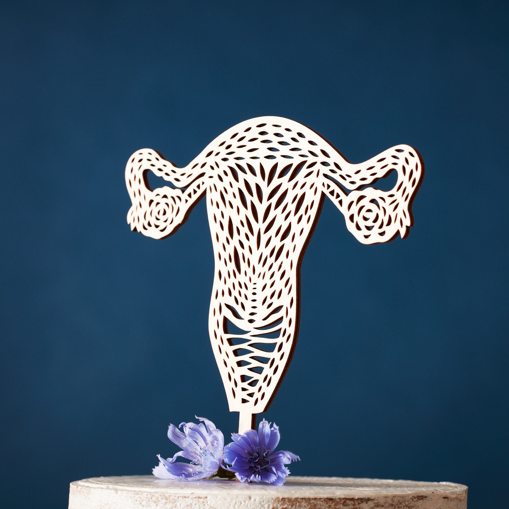 Breast Anatomy Cake Topper - Breast Feeding Gift, Medical Grade Gift ...