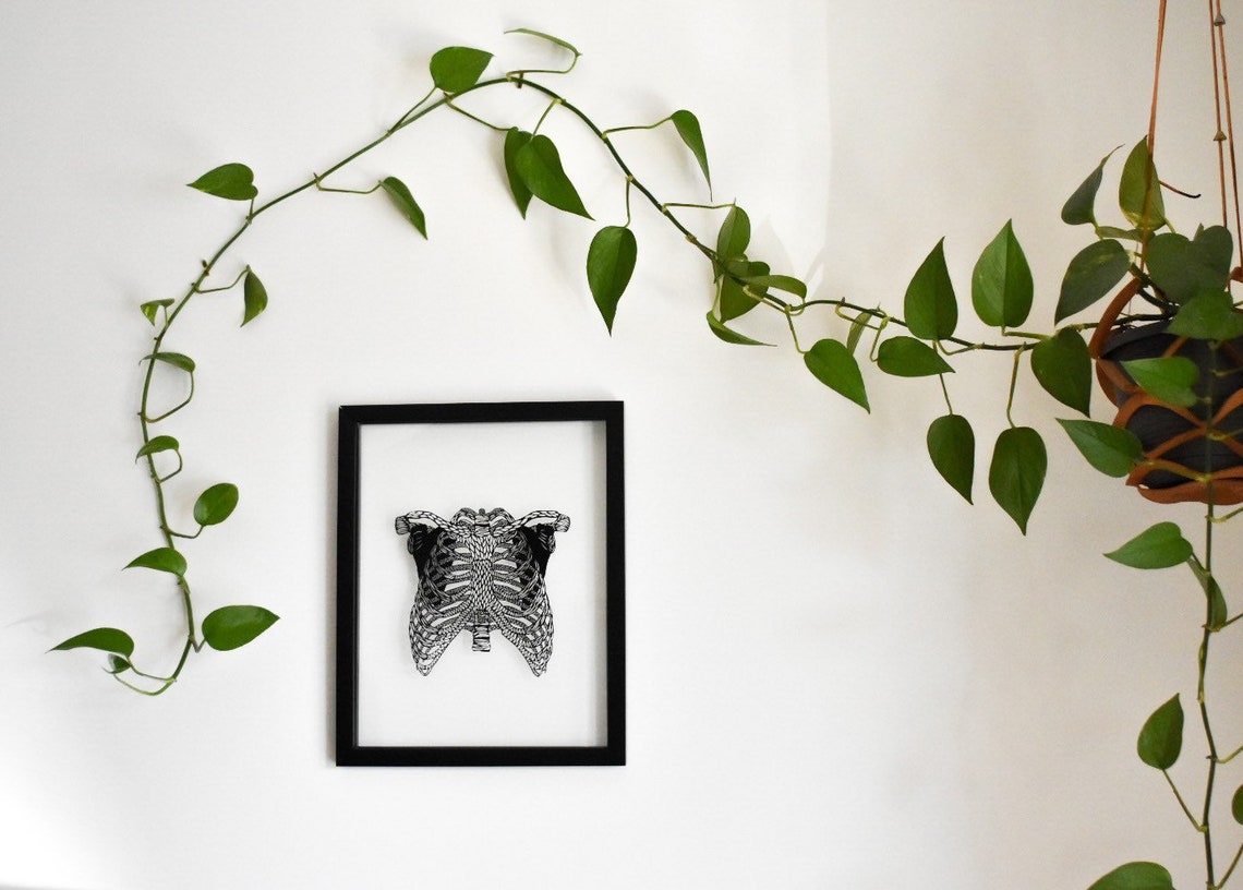 Anatomical Rib Cage Laser-cut Papercutting Artwork - Etsy