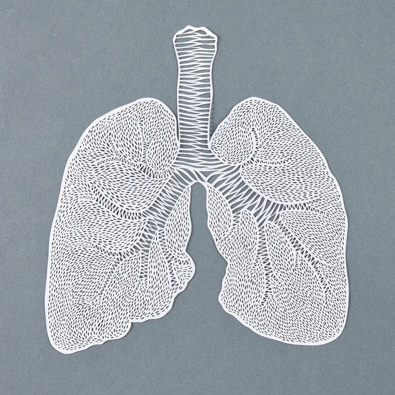 Anatomical Lungs Laser-cut Papercutting Artwork, Lung Transplant ...