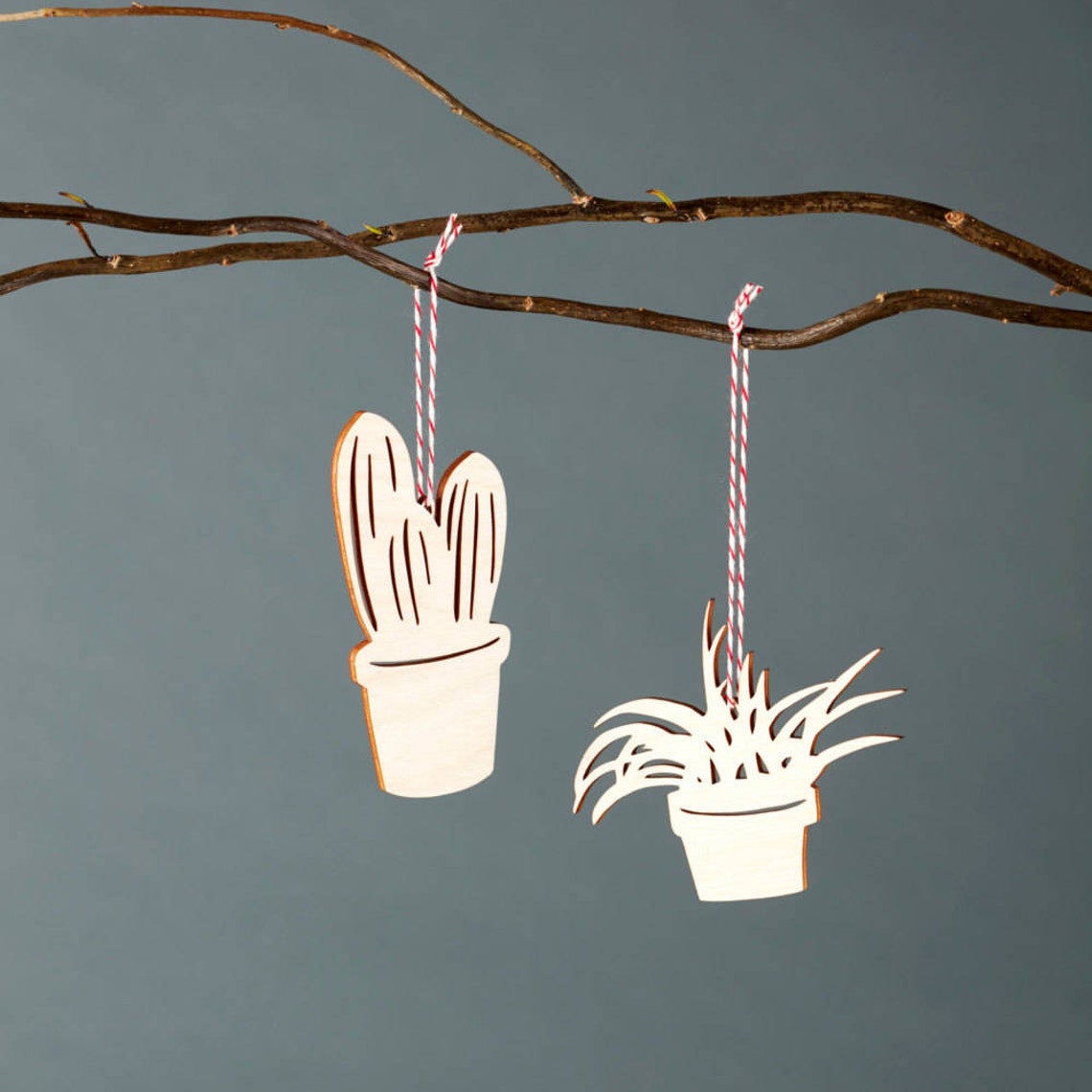 Cactus and Plant Ornaments- Lasercut Birch Wood (set of 2) - Etsy