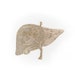 Anatomical Liver Lasercut Wooden Artwork - Etsy Canada
