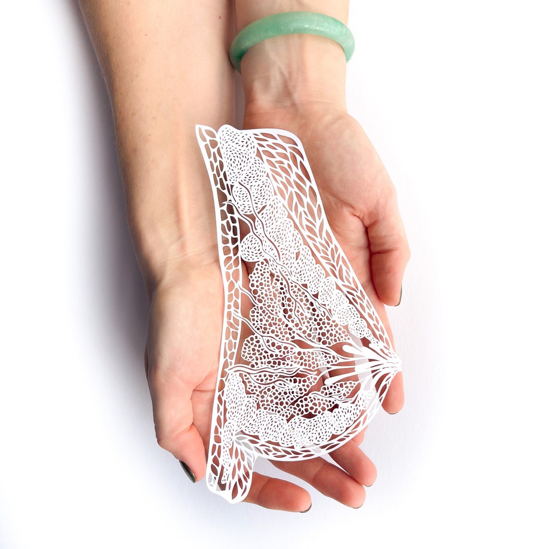 Anatomical Breast Laser-cut Papercutting Artwork, Doula Gift, Lactation ...