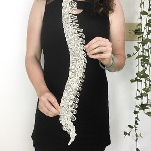 Anatomical Spine Lasercut Wooden Artwork - Etsy