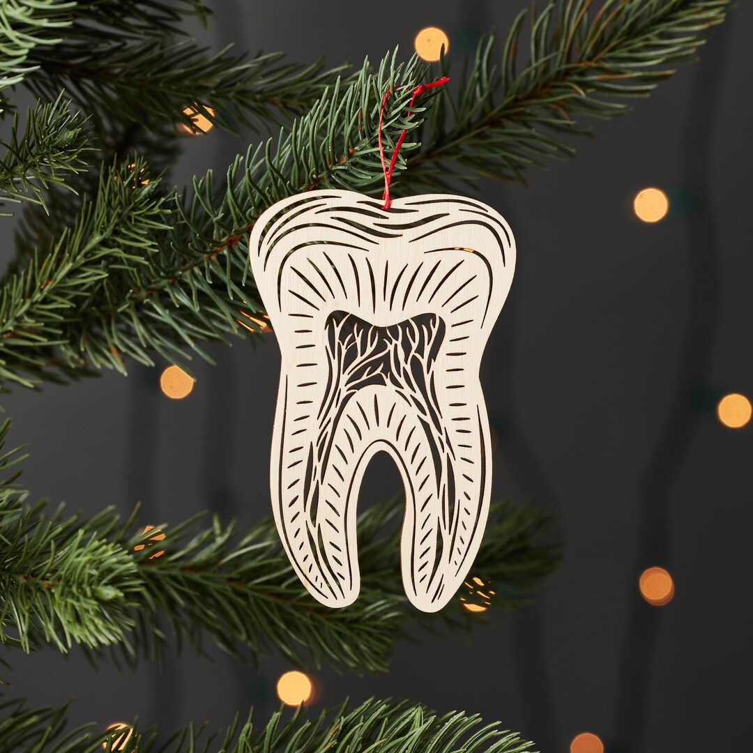 Tooth Anatomy Ornament, Dentist, Orthodontist, Dental Hygenist, Dental ...