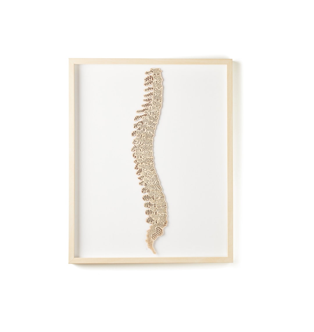 Anatomical Spine Lasercut Wooden Artwork - Etsy