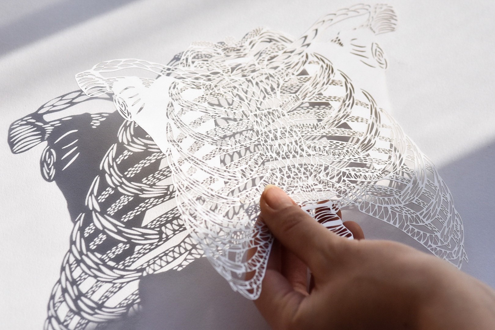 Anatomical Rib Cage Laser-cut Papercutting Artwork - Etsy