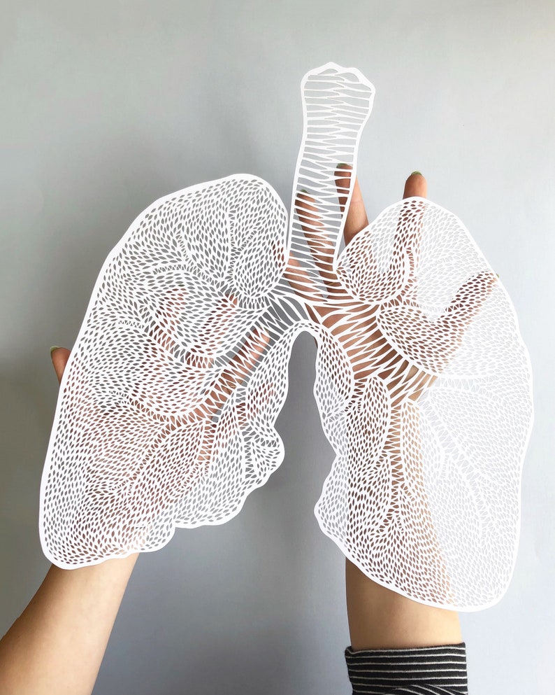 Anatomical Lungs Laser-cut Papercutting Artwork - Etsy Canada