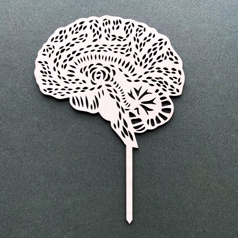 Brain Anatomy Cake Topper - Doctor Grad Cake, Medical Gift, Therapist ...