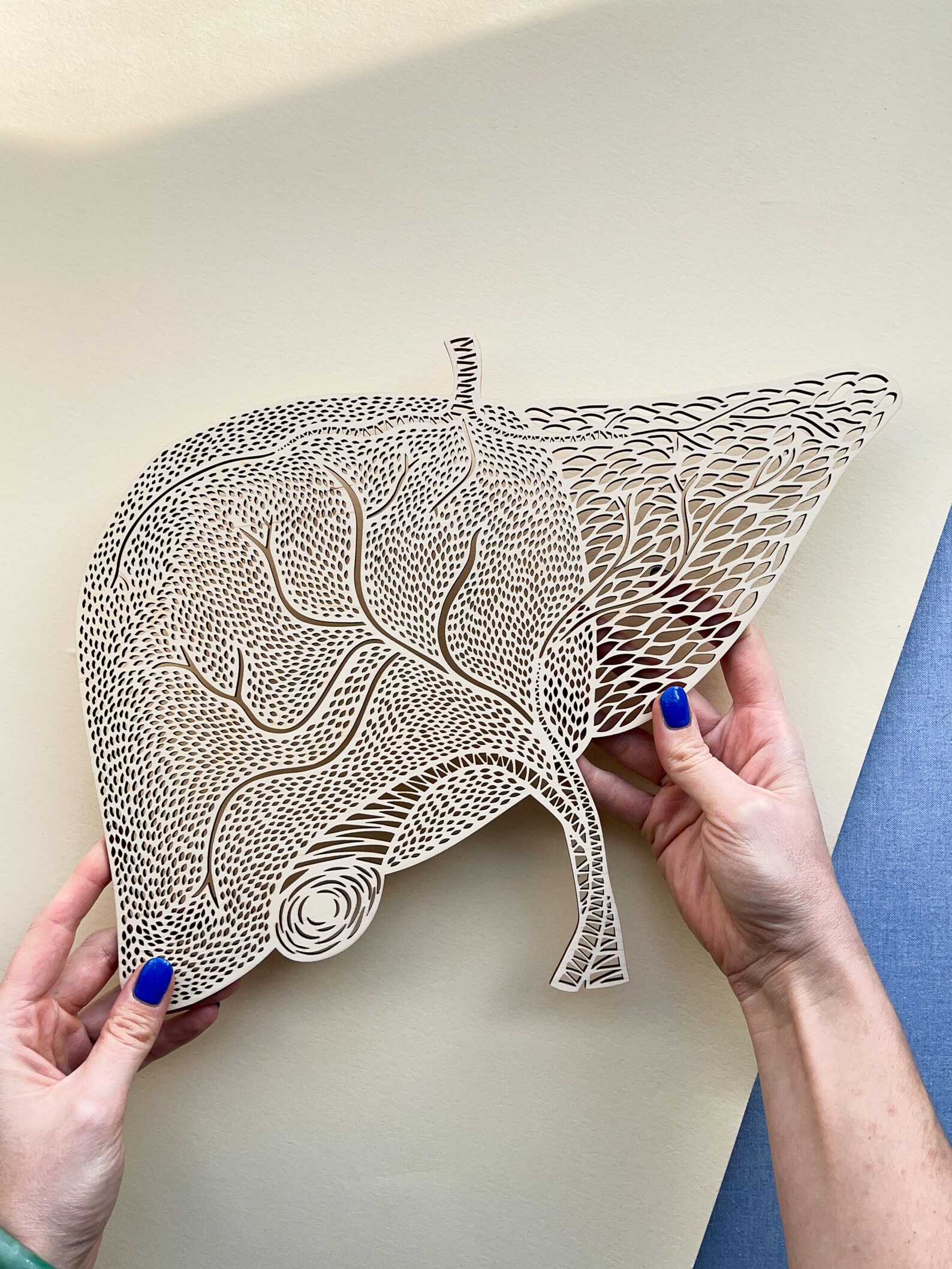 Anatomical Liver Lasercut Wooden Artwork - Etsy Canada