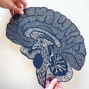 Anatomical Brain Laser-cut Papercutting Artwork, Neurology Gift, Doctor ...