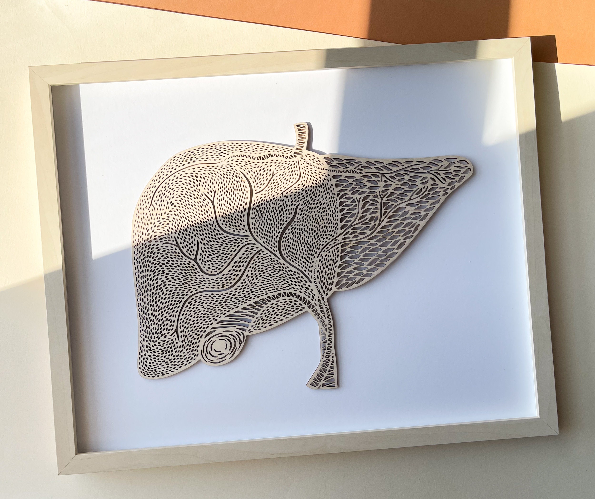 Anatomical Liver Lasercut Wooden Artwork - Etsy Canada