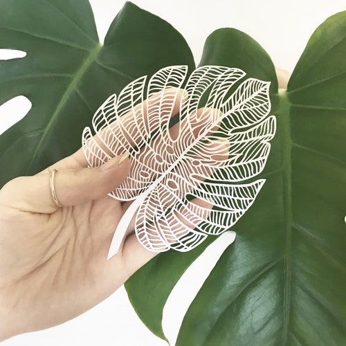 Laser-cut Papercutting Artwork Monstera Leaf - Etsy