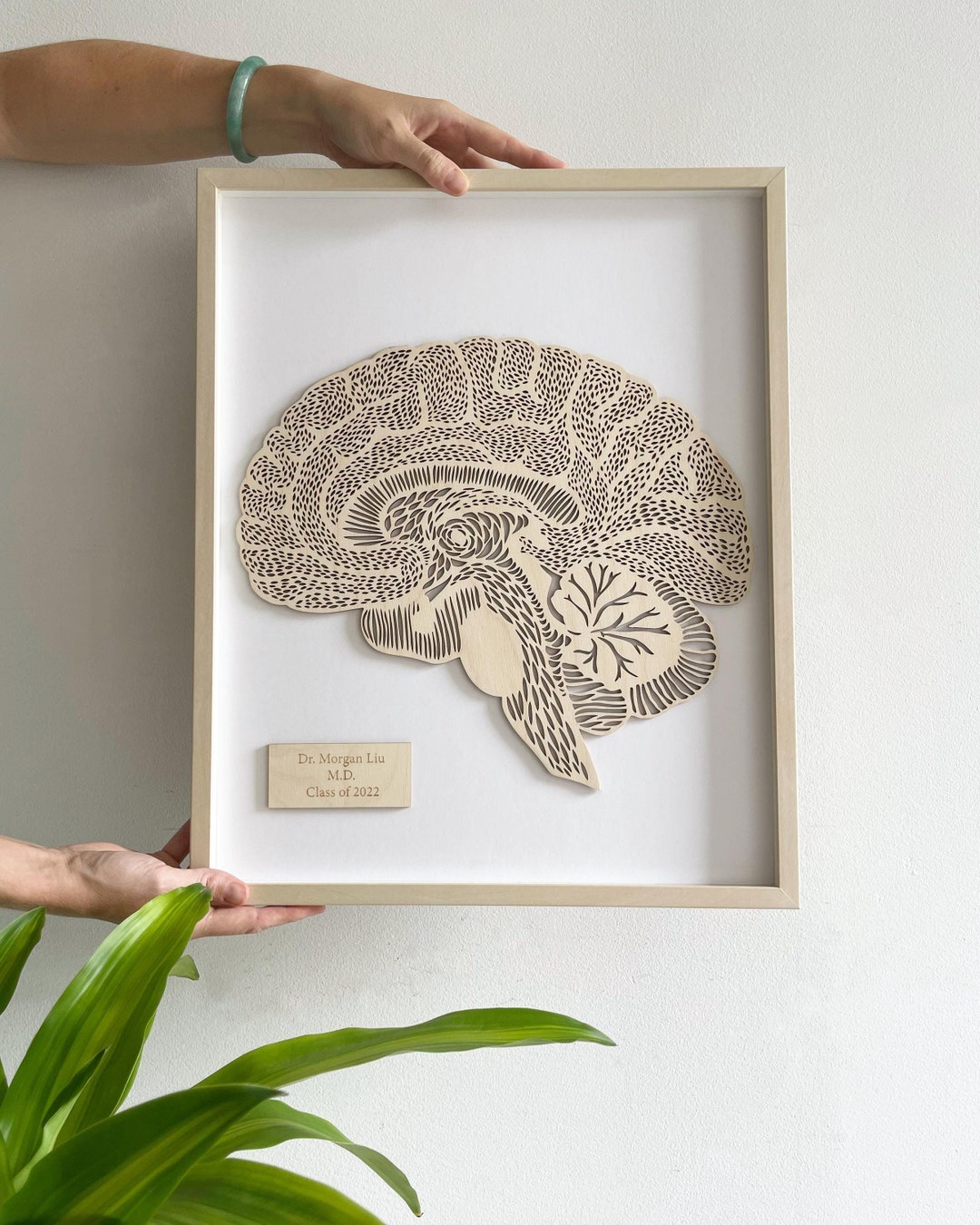 Anatomical Brain Lasercut Wooden Artwork - Etsy