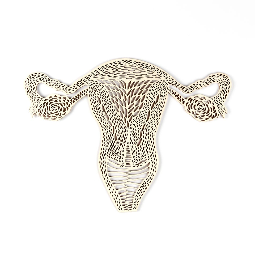 Anatomical Uterus Lasercut Wooden Artwork, Midwife Gift, OBGYN Artwork ...