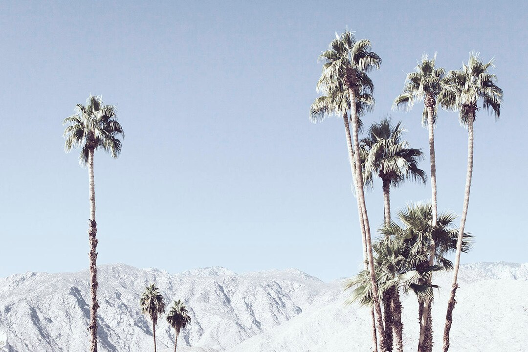 Palm Springs Photography, Palm Springs Print, California Photography ...