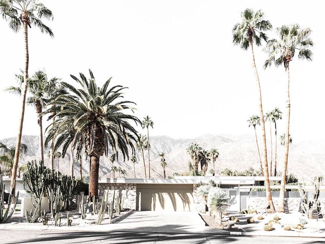 Palm Springs Photography, Palm Trees, Palm Springs Photography, Desert ...