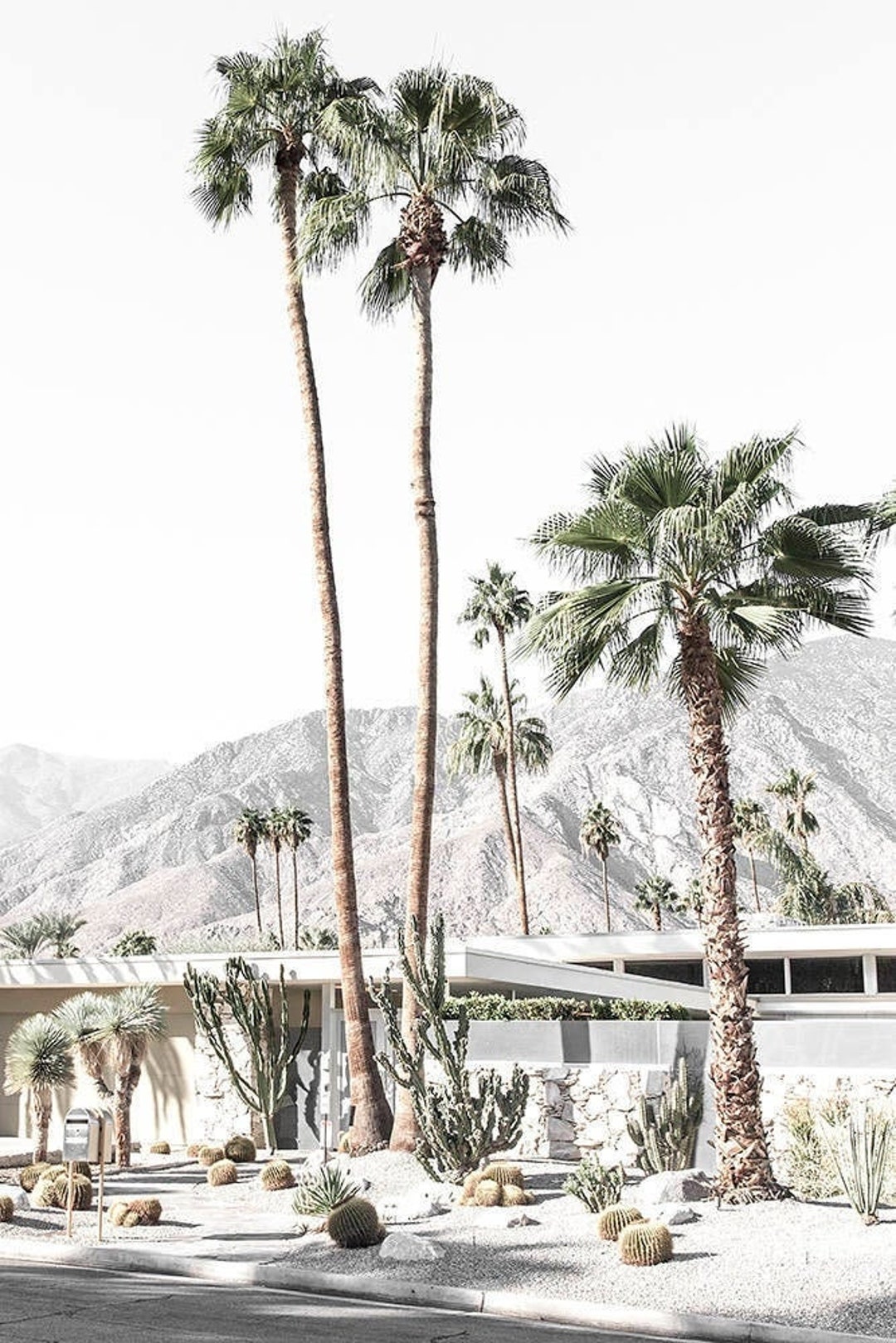 Palm Springs Photography, Palm Springs Print, California Photography ...