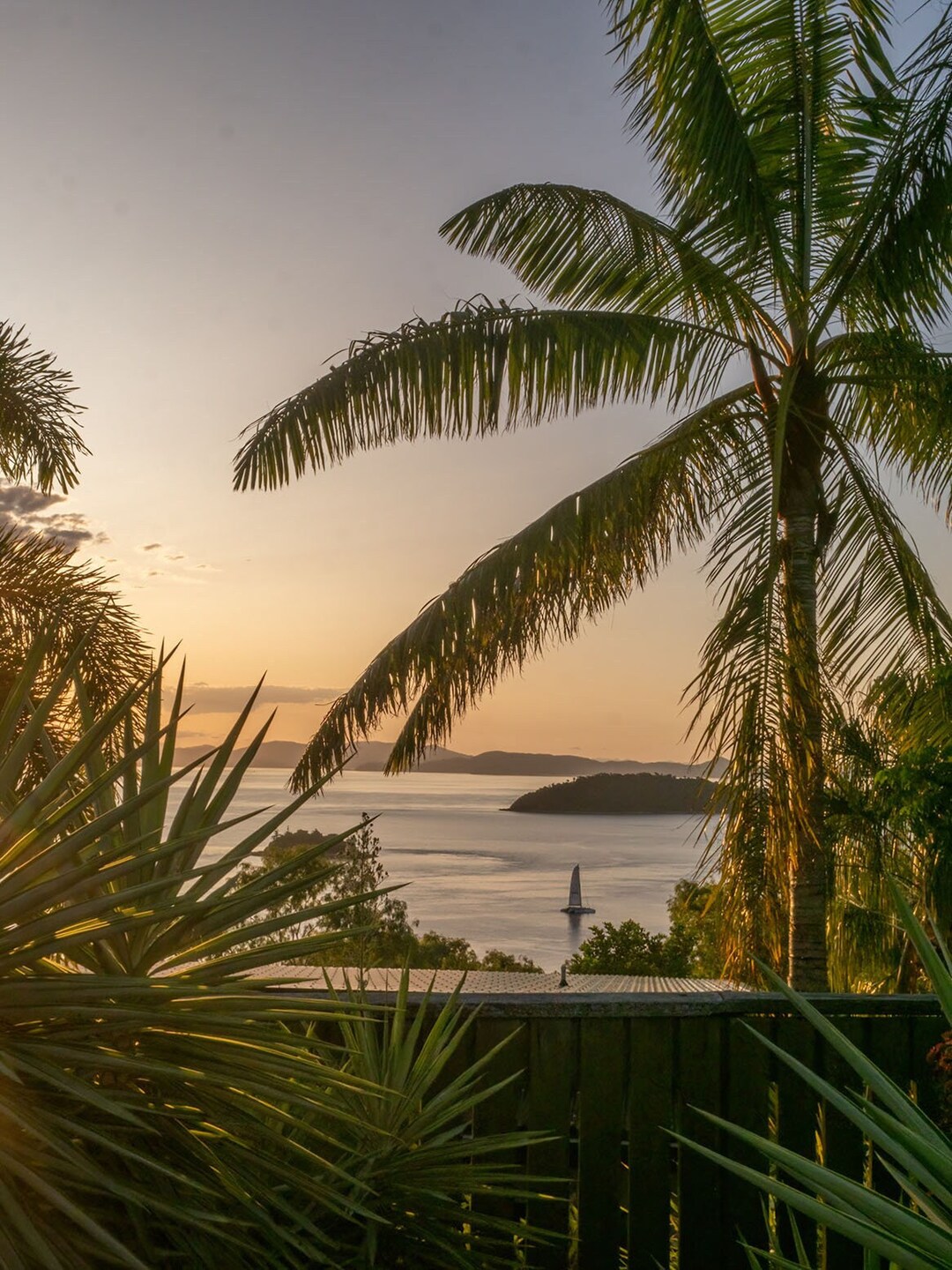 Hamilton Island Sunset Sailboat Print: Tropical Queensland Photography ...