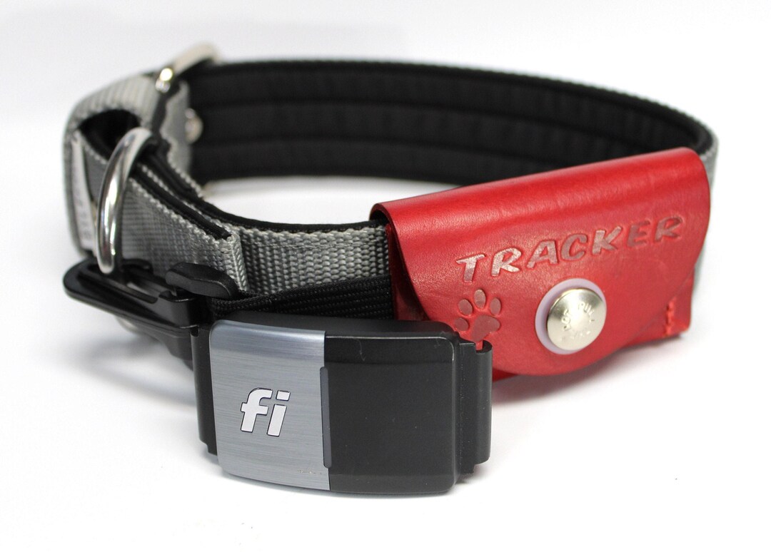 Custom Stamped Red Leather Fi 2 Series Dog Tracker Pouch - Red - Etsy