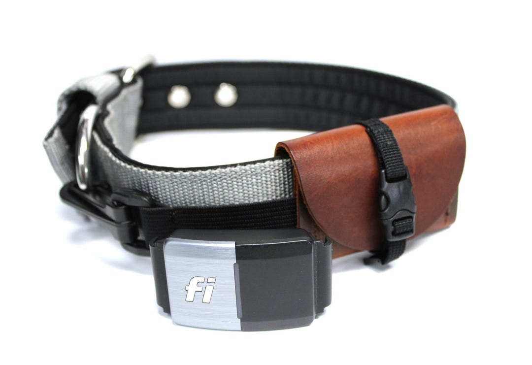 Fi 2 Series Custom Dark Brown Leather Pouch: Durable Dog Collar ...