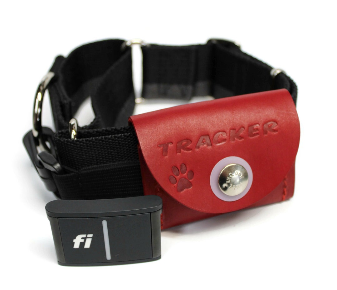 Fi 3 Tracker Pouch - Red Custom Leather Pouch - Dog Collar Storage - Etsy