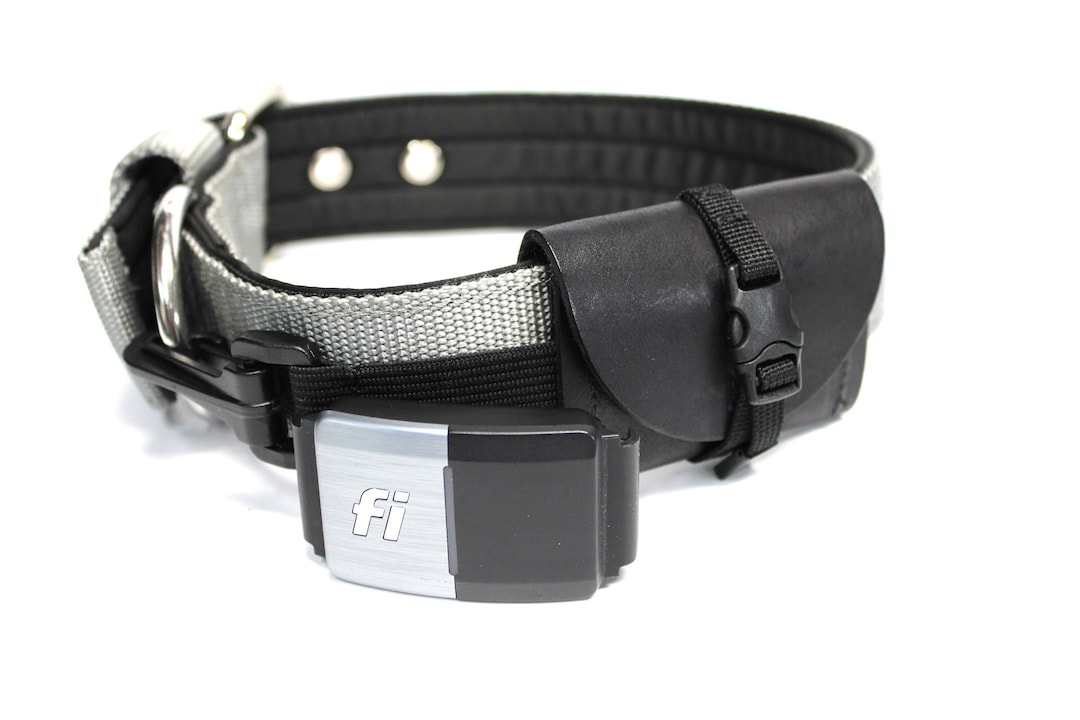 Fi 2 Series Tracker Pouch / Black Leather Dog Collar Pouch / Dog ...