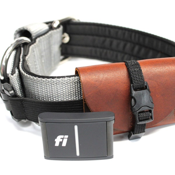 Fi Series Pet Tracker Storage - Etsy
