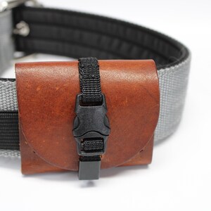 Dog Tag Collar Pouch / Brown Leather Pet Tag Silencer - Etsy