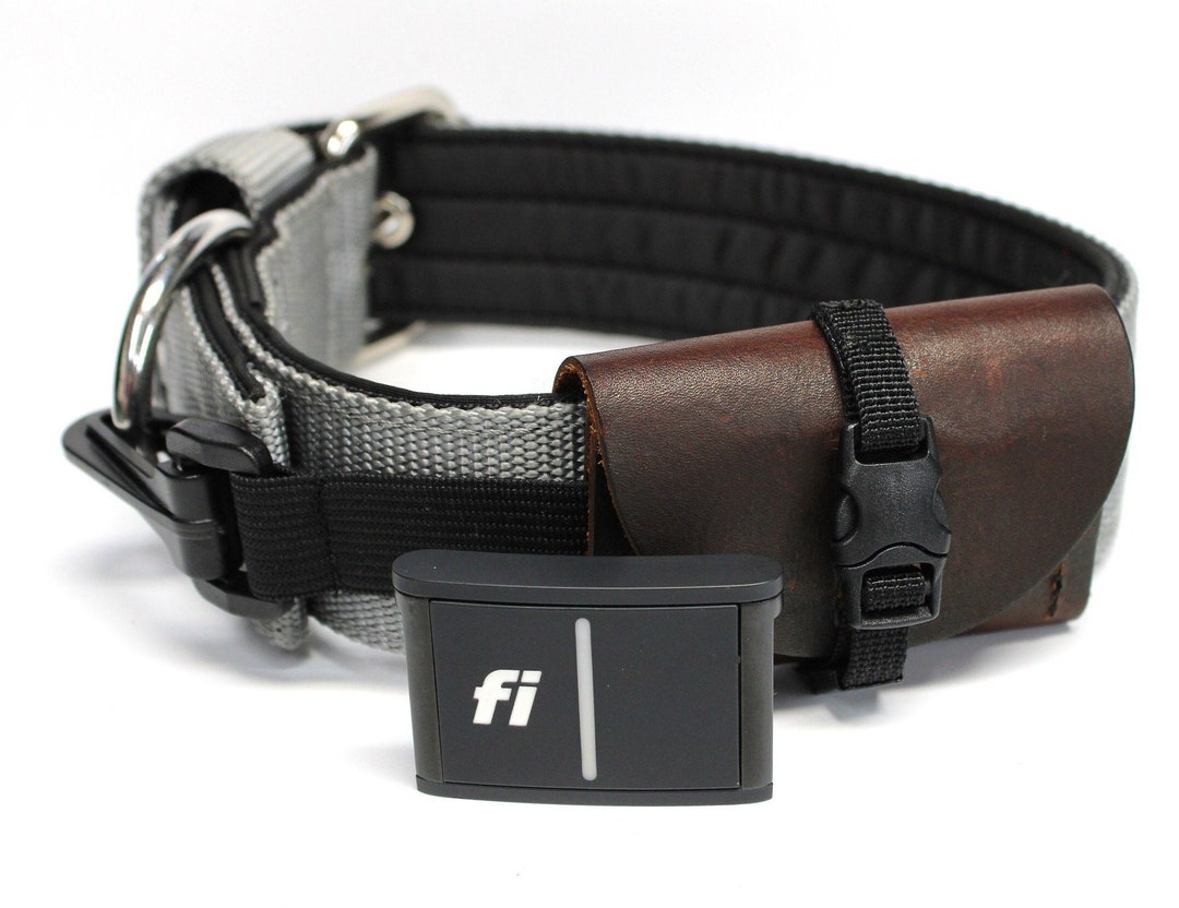 Fi 3 Tracker - Dark Brown Custom Leather Pouch - Dog Collar Storage - Etsy