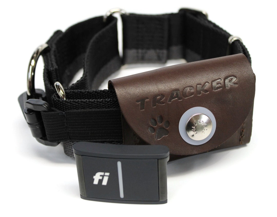 Fi 3 Series Tracker Pouch Custom Stamped / Dark Brown Leather Dog ...
