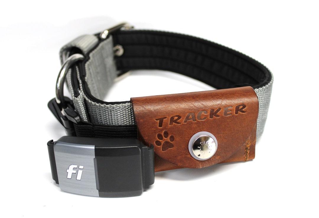 Fi 2 Tracker - Custom Dark Brown Leather Collar Pouch - Etsy