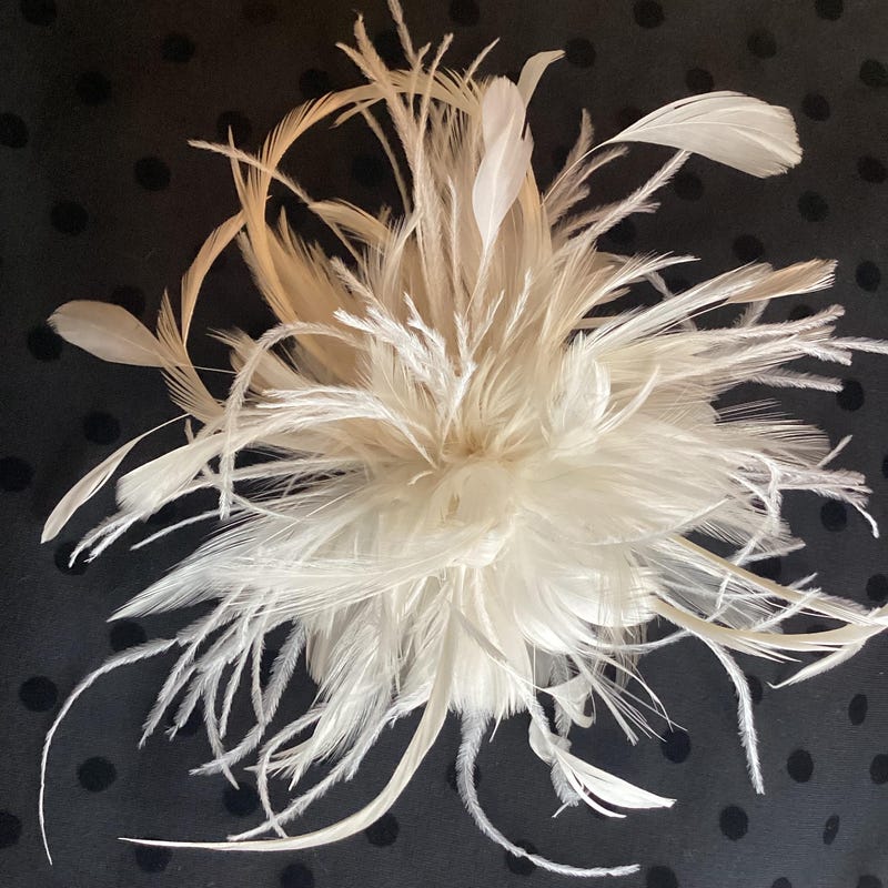Cream Ostrich Feather - Etsy