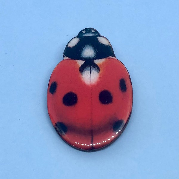 Ladybird Brooch - Etsy