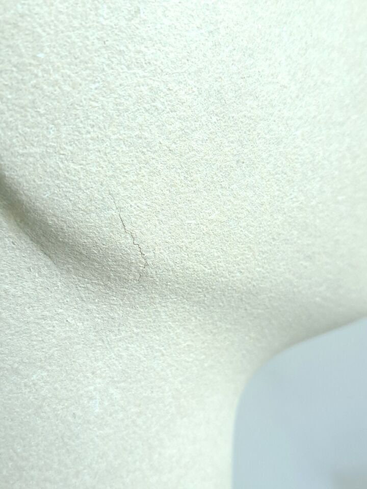 Vintage Fiberglass Long Neck Mannequin Bust Cosplay Sci-fi Alien UFO ...