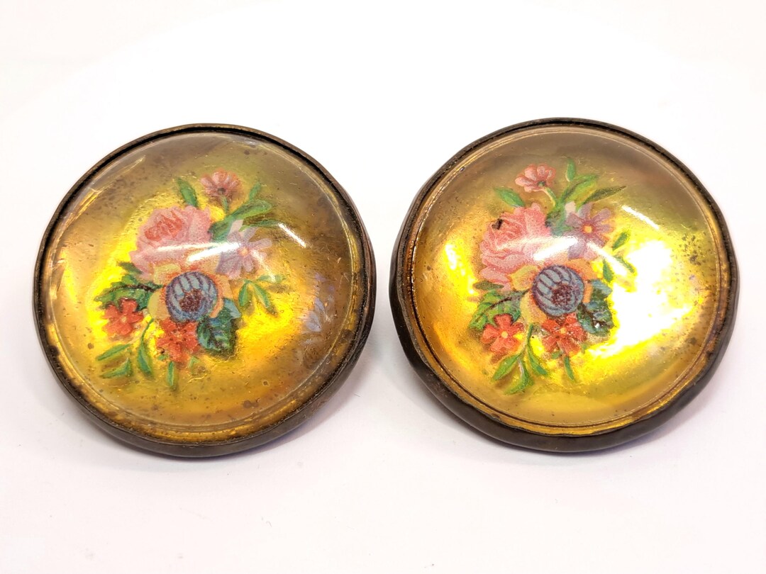 Antique Pair Horse Bridle Rosettes Glass Dome With Floral Design & Gold ...