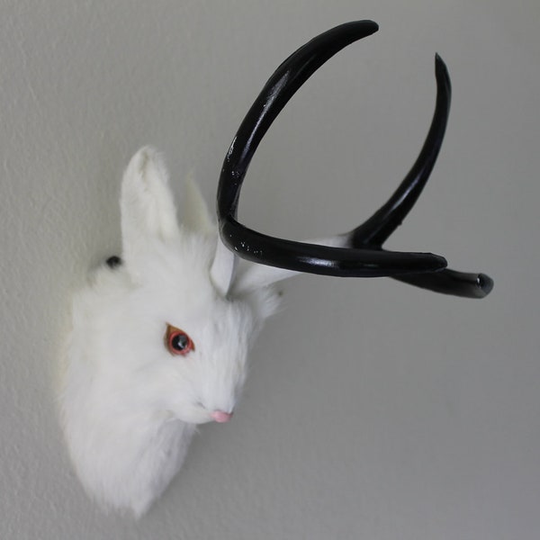 Head Mount - Etsy